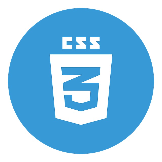  CSS 